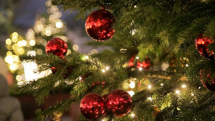 Bokep indo terbaru free